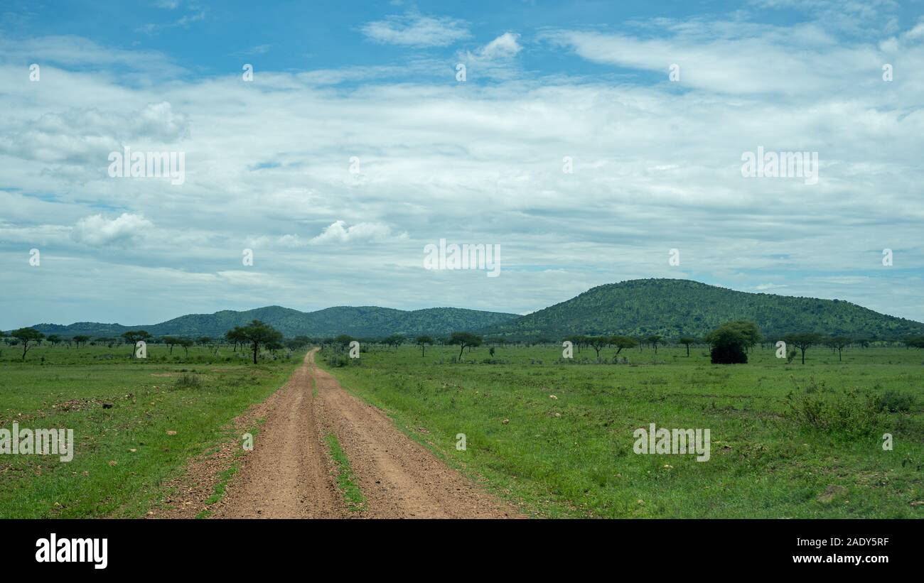 African panorama in Serengeti national park Stock Photo - Alamy