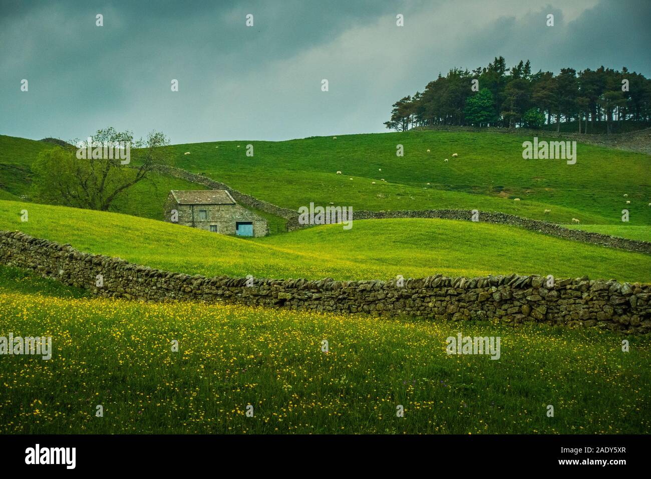 Northern landscapes hi-res stock photography and images - Alamy