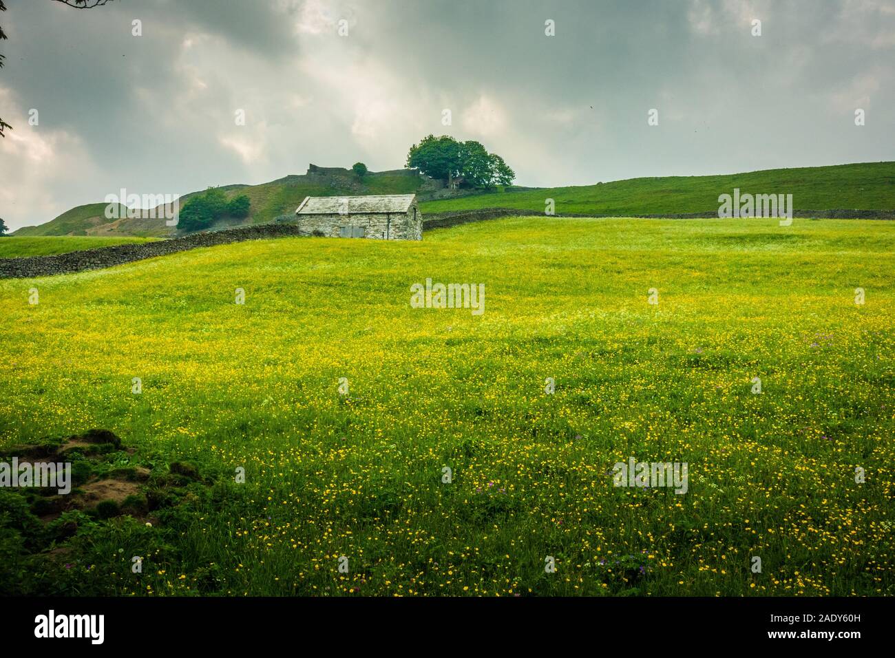 Northern landscapes hi-res stock photography and images - Alamy