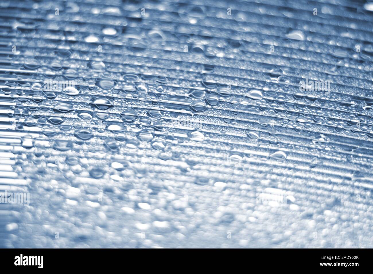 condensation in the greenhouse. Small drops of water on a striped ...