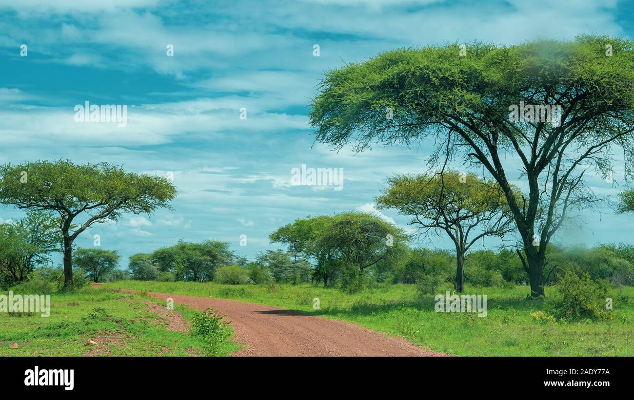 African panorama in Serengeti national park Stock Photo - Alamy