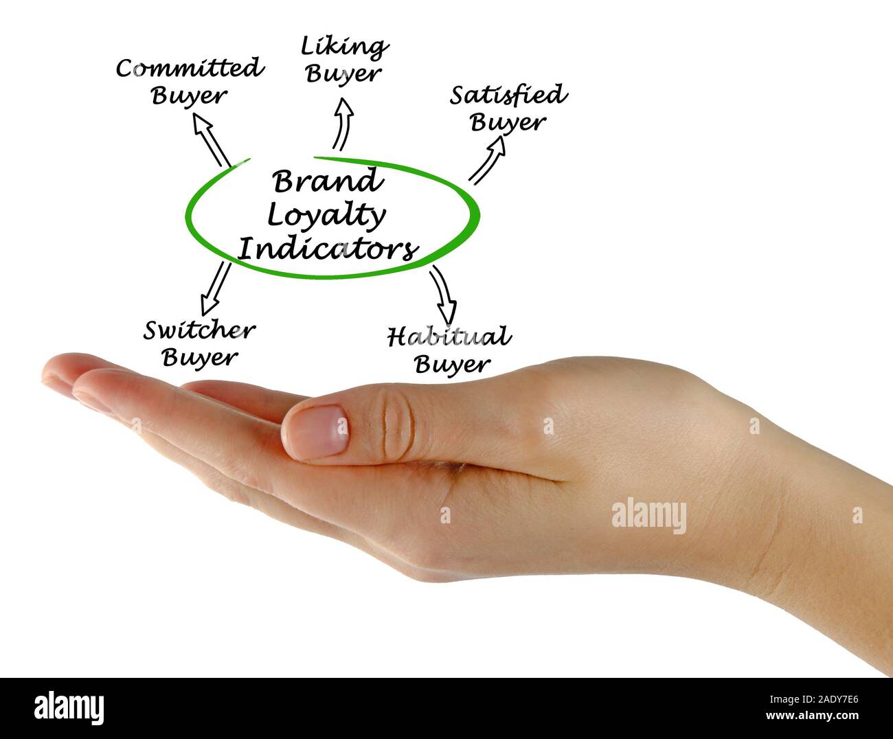 Brand Loyalty Indicators Stock Photo - Alamy