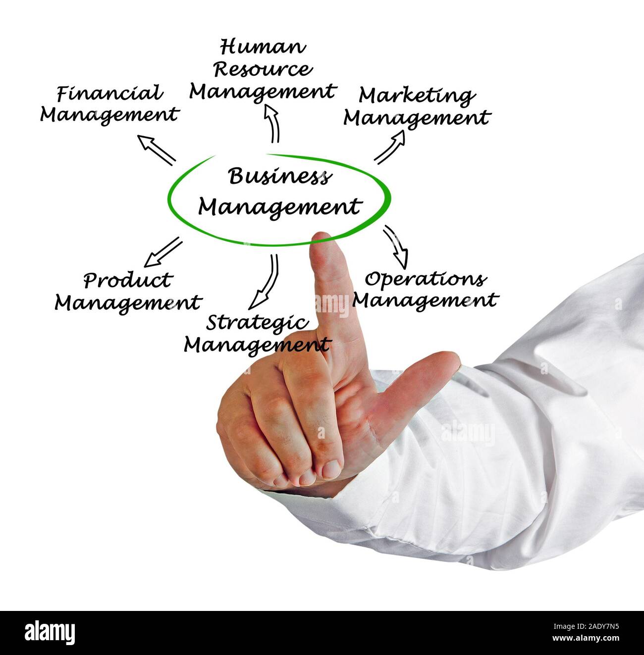 Diagram of Business Management Stock Photo - Alamy