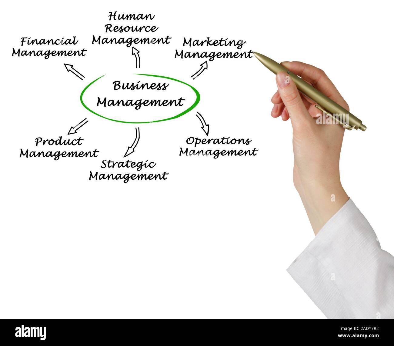 Diagram of Business Management Stock Photo - Alamy