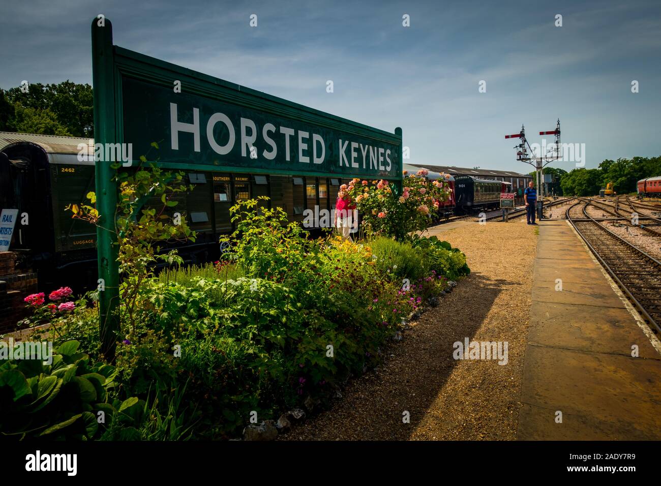 Bluebell line hi-res stock photography and images - Alamy