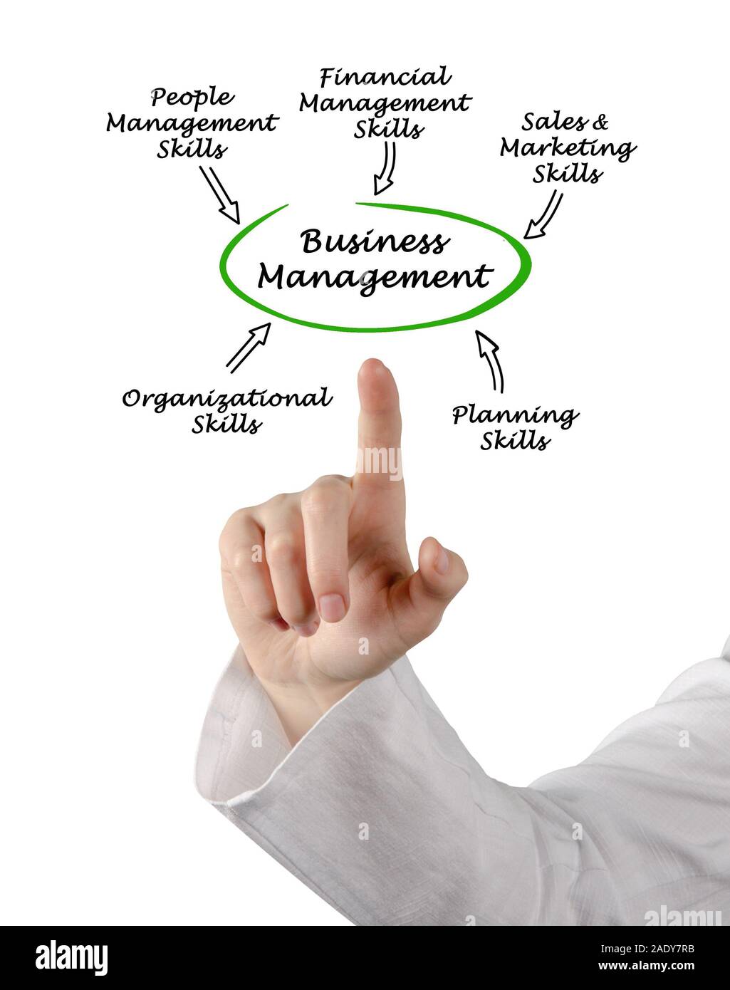 Diagram of Business Management Stock Photo - Alamy