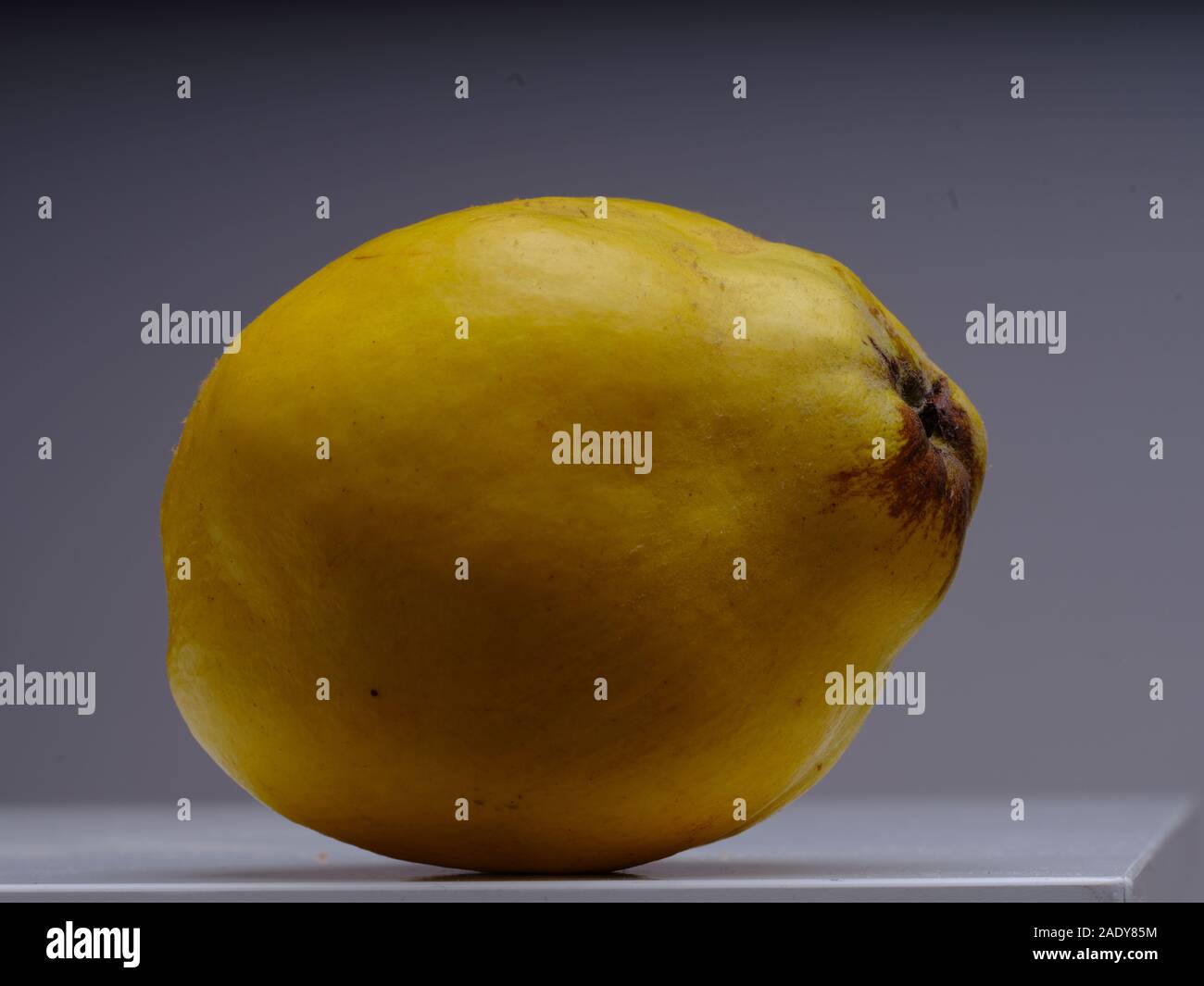 Close up old organic lemon on a grey background very high resolution ...