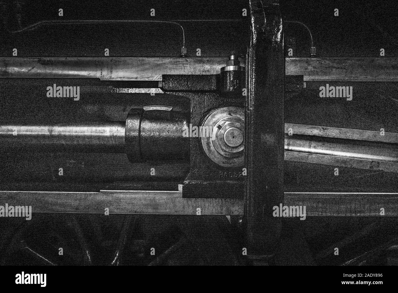 Bluebell Black and White Stock Photos & Images - Alamy