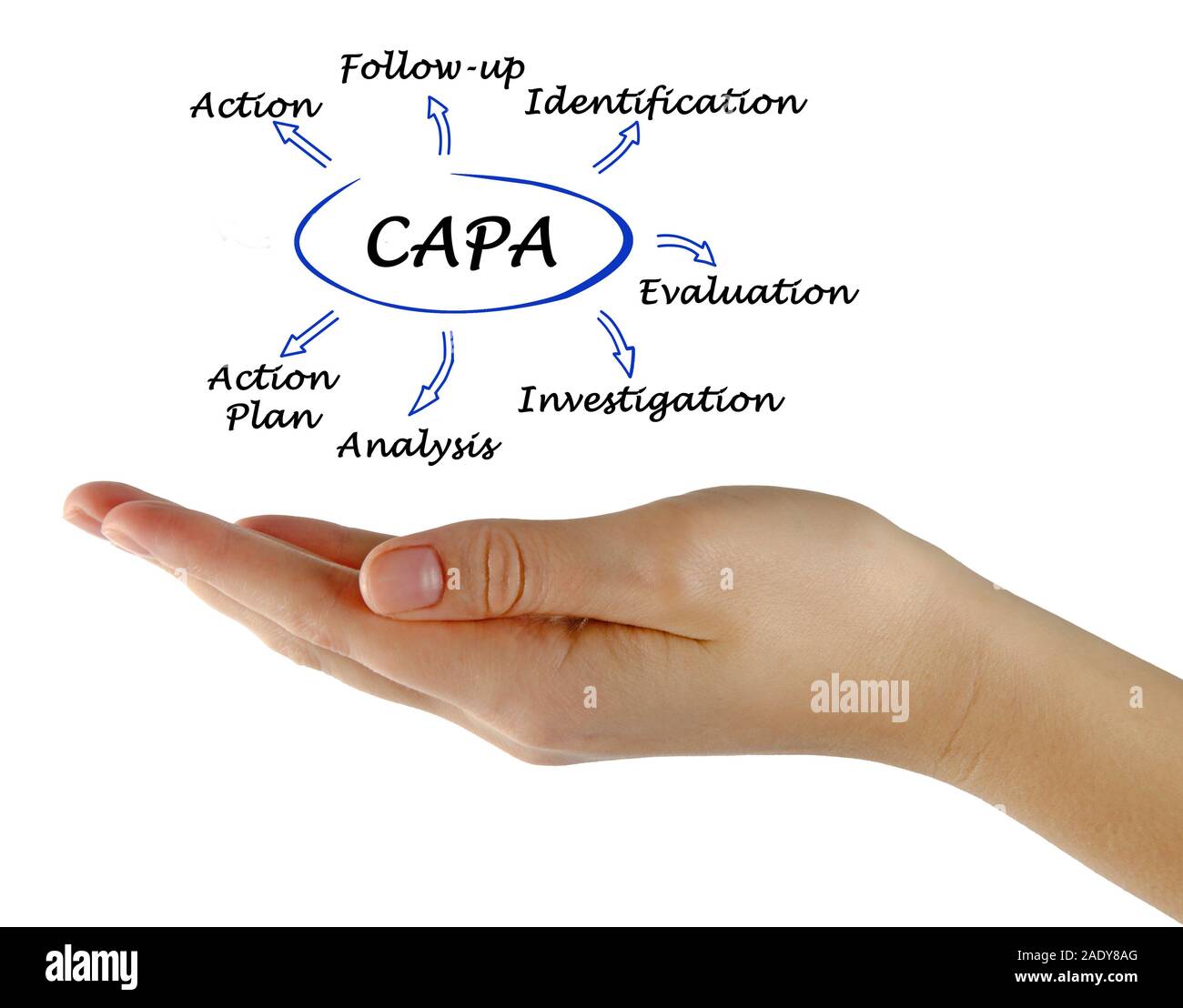 Diagram of CAPA Stock Photo - Alamy