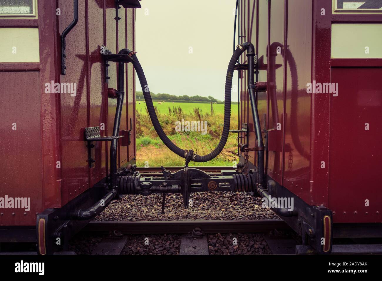 Woody bay hi-res stock photography and images - Alamy