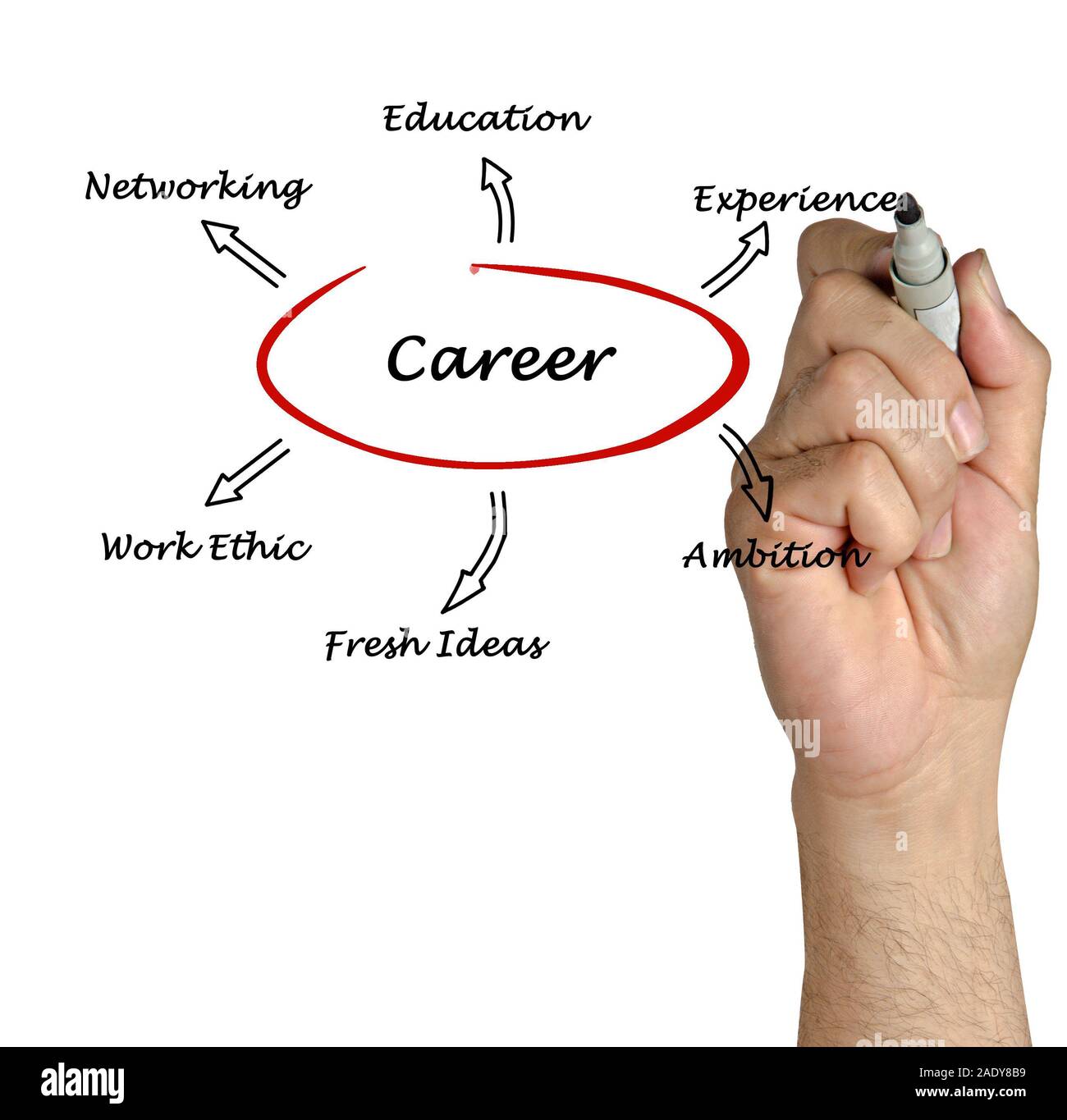 Diagram of career success Stock Photo - Alamy