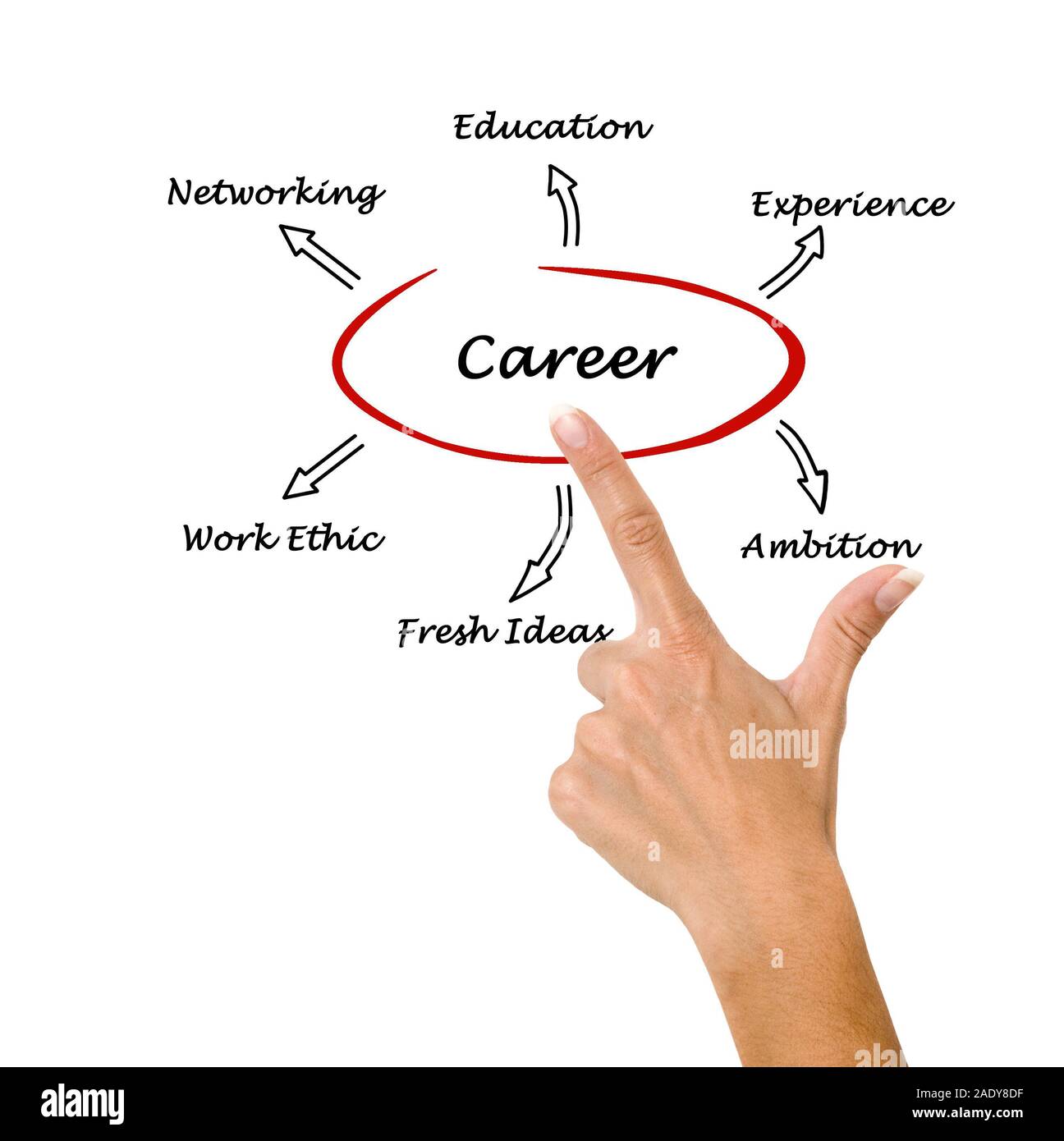 Diagram of career success Stock Photo - Alamy