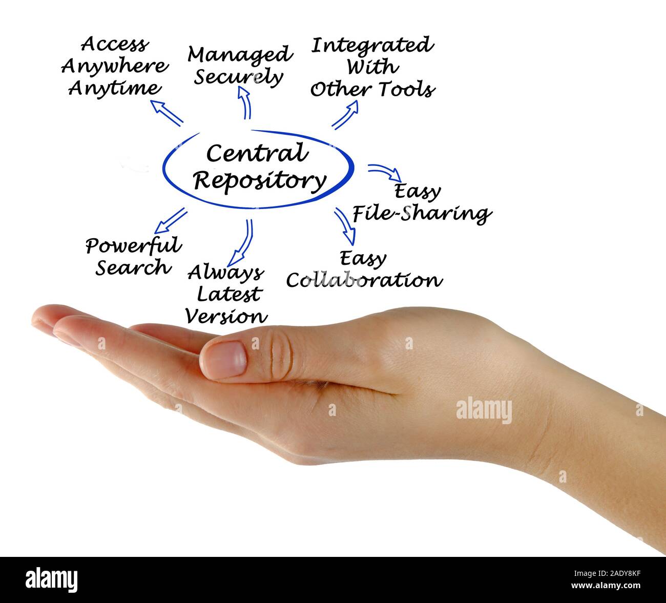 Diagram of central repository Stock Photo - Alamy