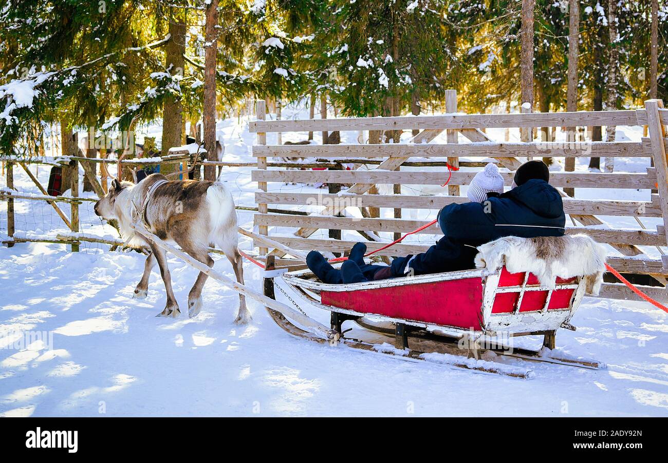 Sami people with reindeer sleigh hi-res stock photography and images ...