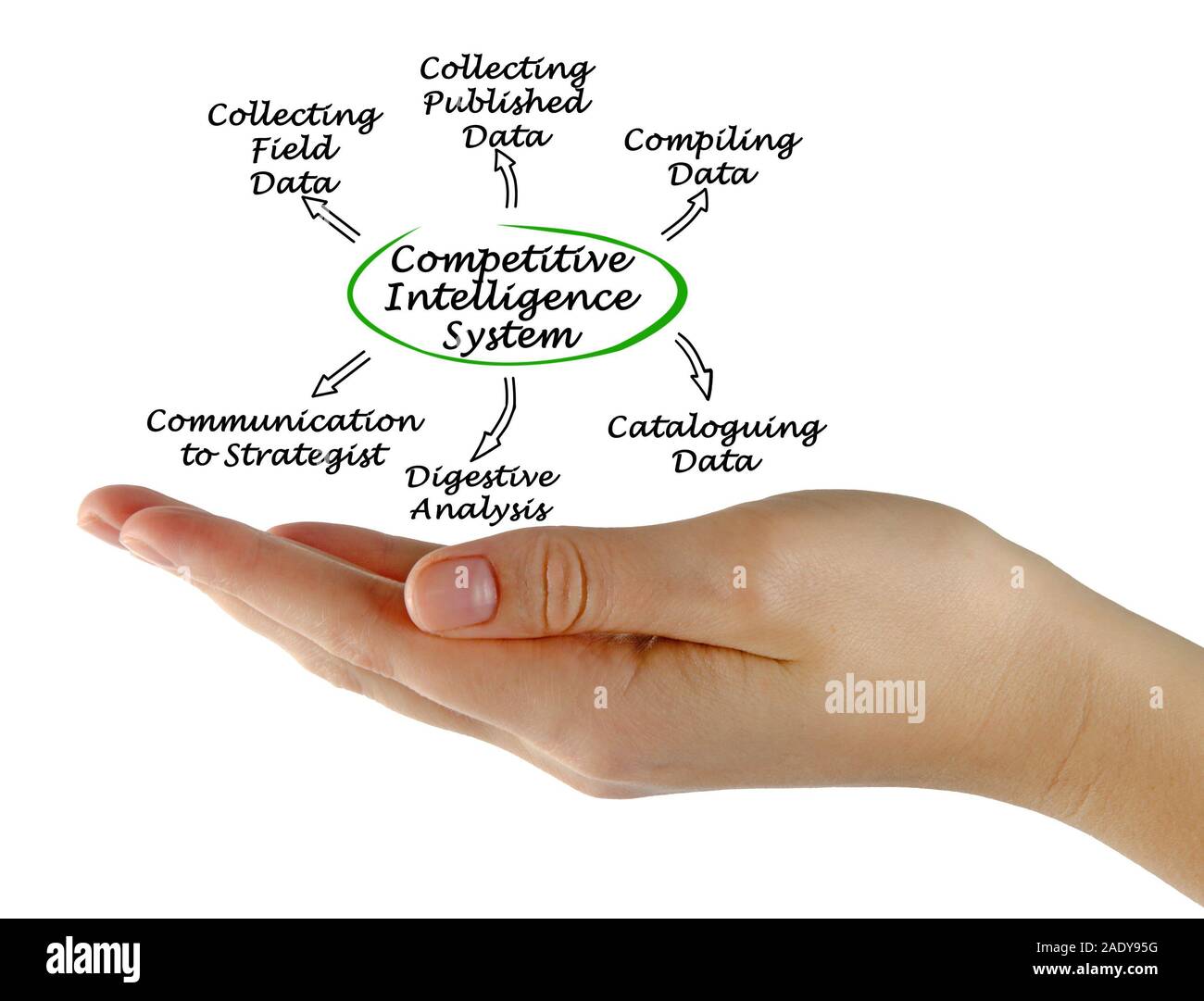 Diagram of Competitive Intelligence System Stock Photo - Alamy