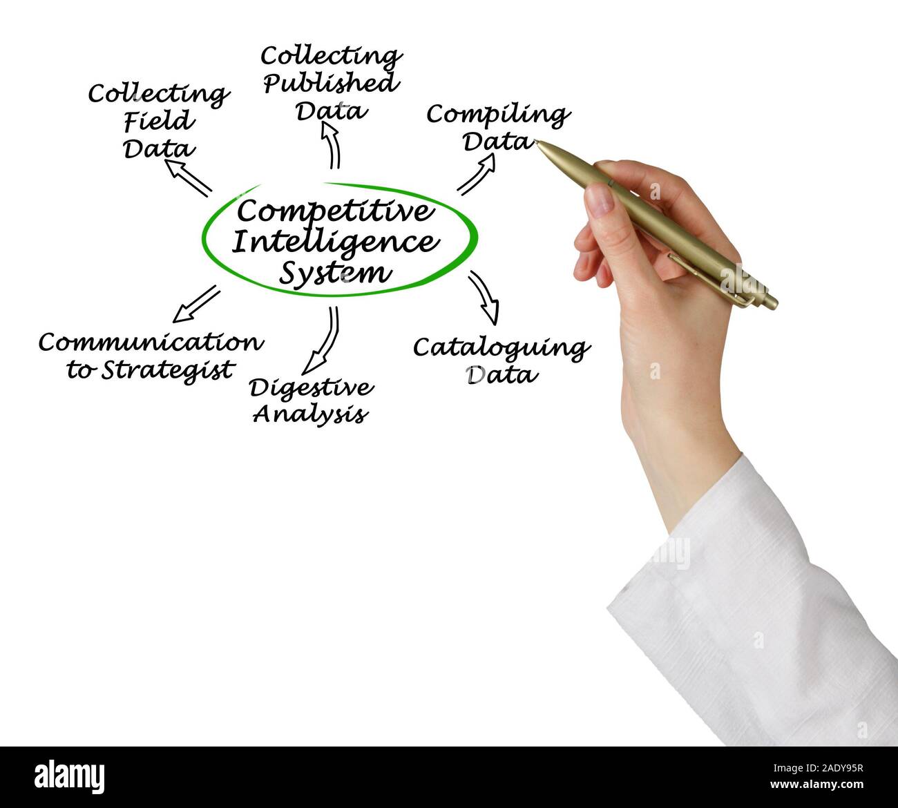Diagram of Competitive Intelligence System Stock Photo - Alamy
