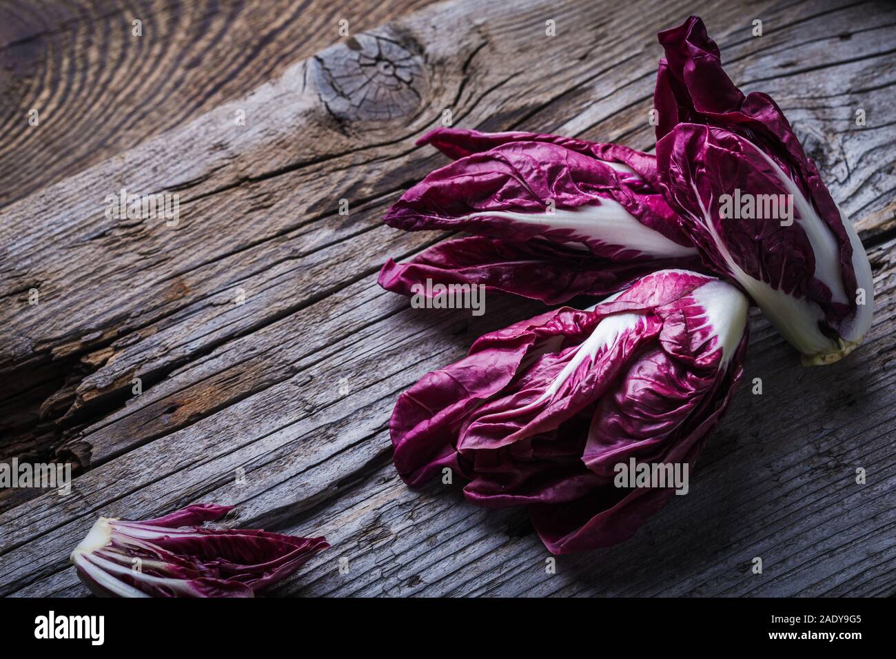 Baby radicchio leaf hi-res stock photography and images - Alamy