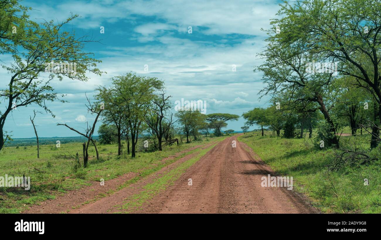 African panorama in Serengeti national park Stock Photo - Alamy