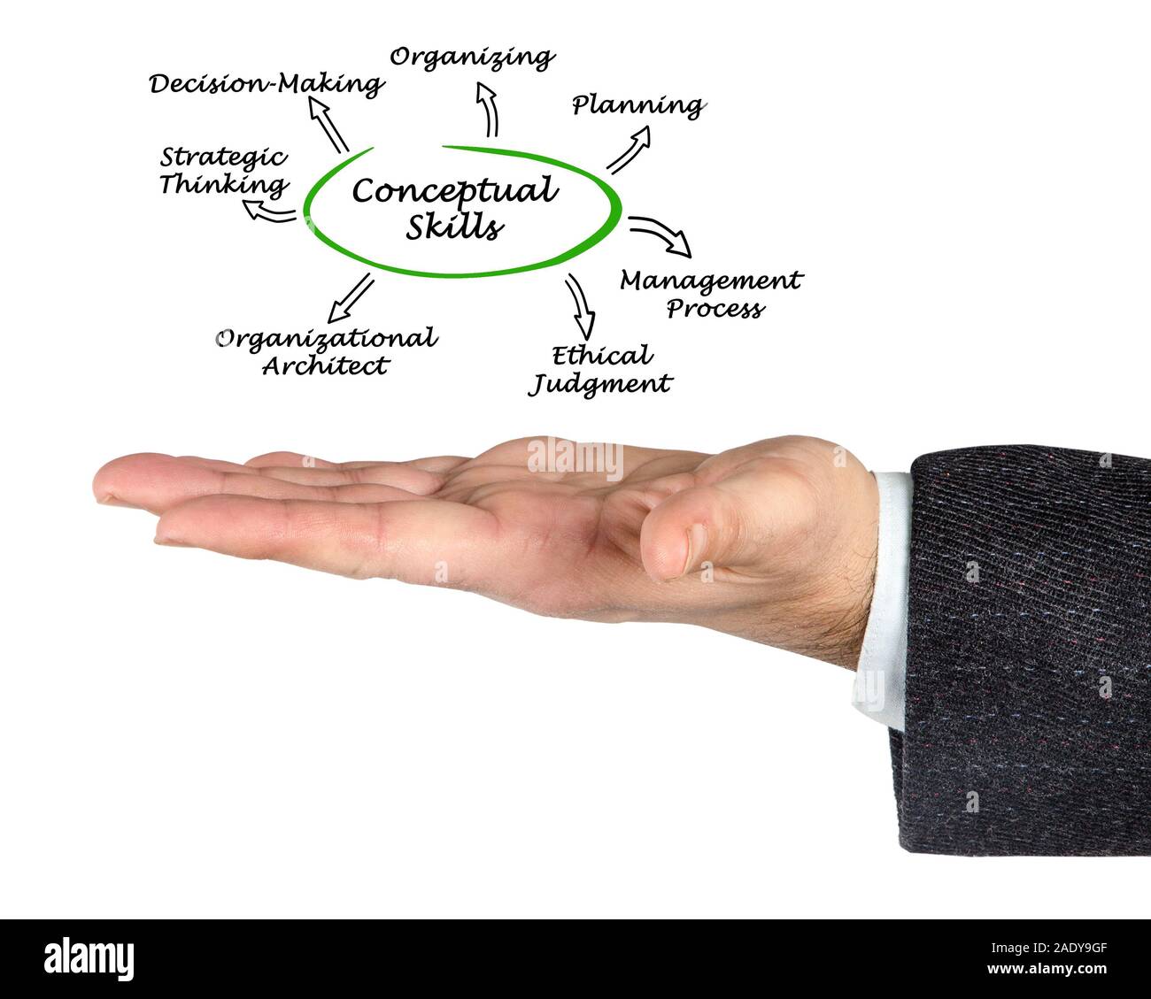 Diagram of Conceptual Skills Stock Photo - Alamy