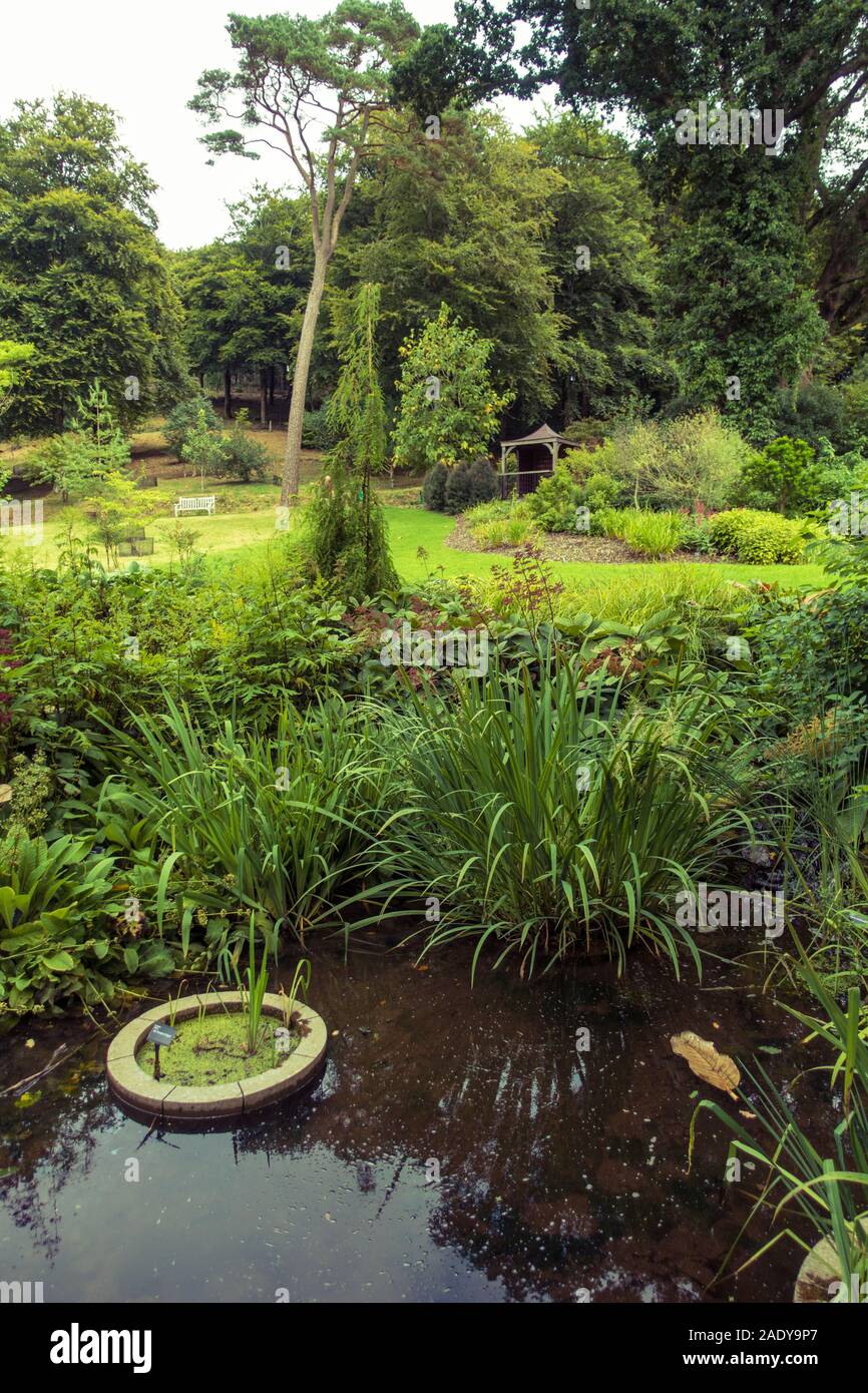 Rosemoor RHS Gardens Stock Photo - Alamy