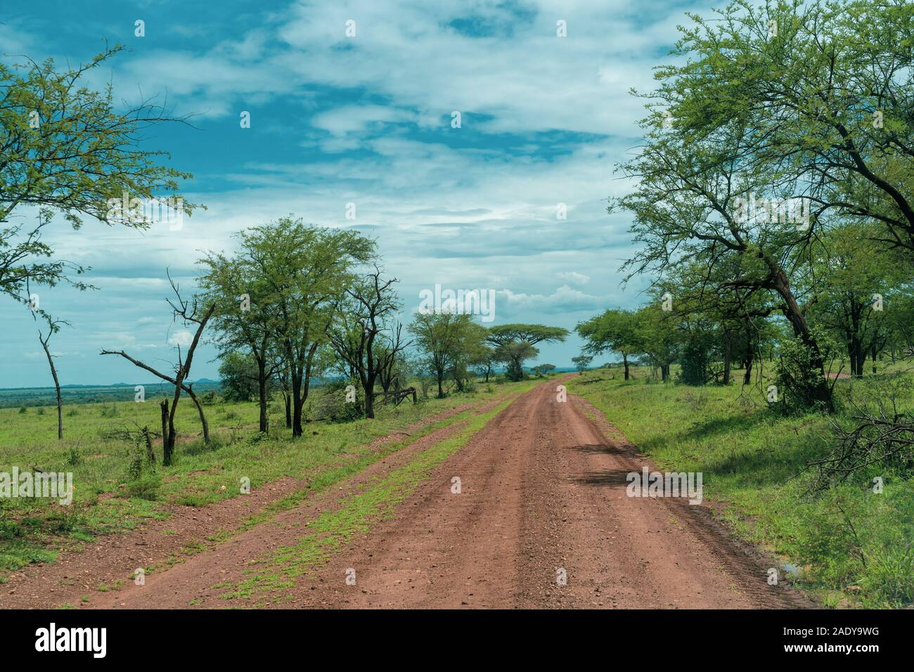 African panorama in Serengeti national park Stock Photo - Alamy