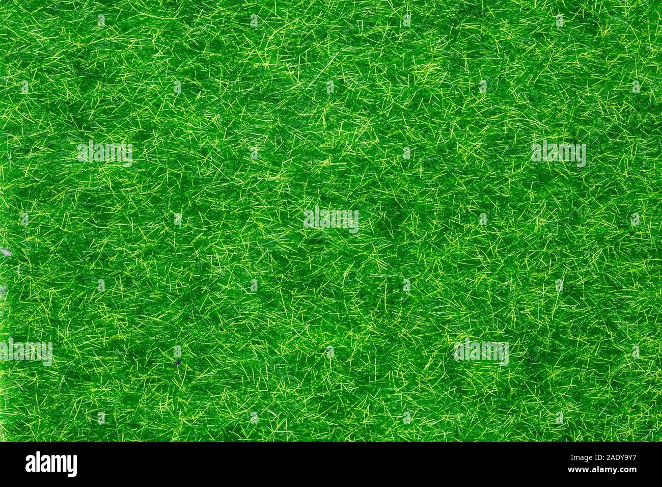 closeup of Artificial grass background Stock Photo - Alamy