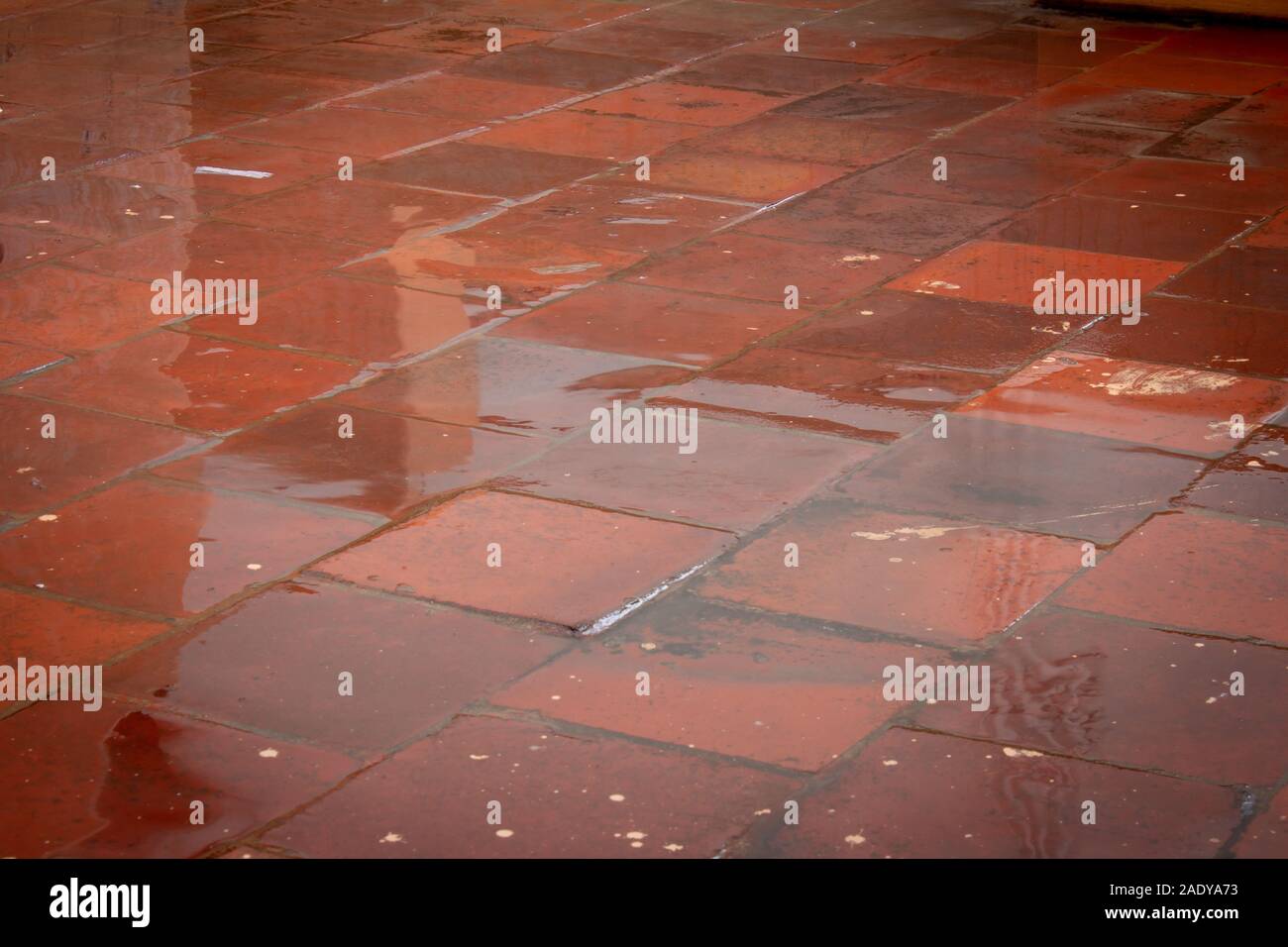 Wet floor of the terrace after rainfall Stock Photo - Alamy