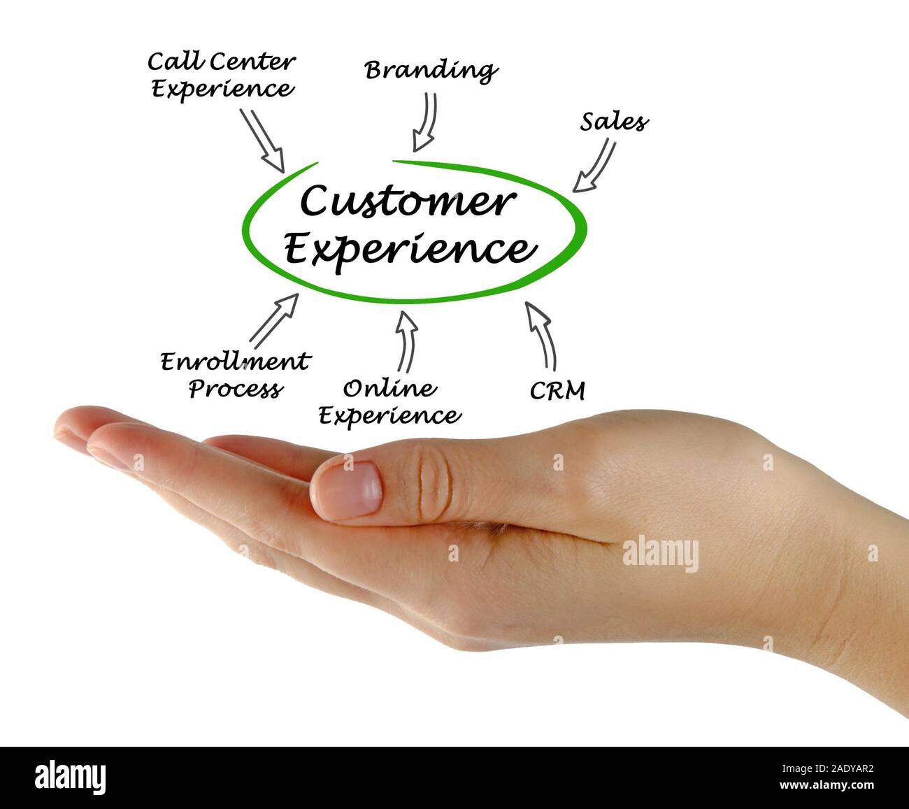 Diagram of Customer Experience Stock Photo - Alamy