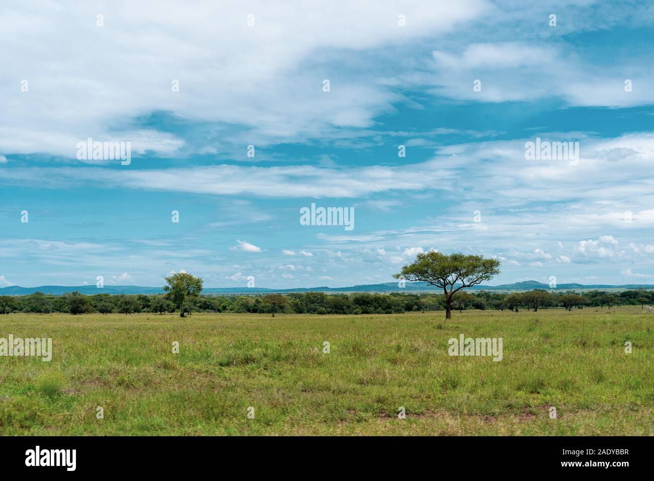 African panorama in Serengeti national park Stock Photo - Alamy