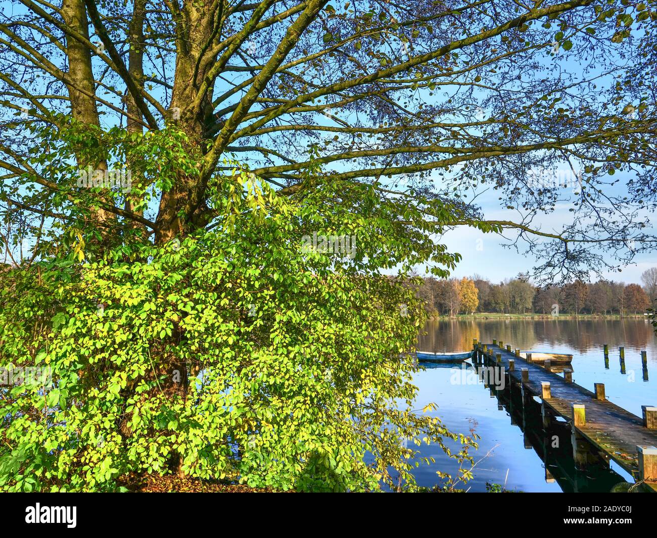 autumn in germany Stock Photo - Alamy