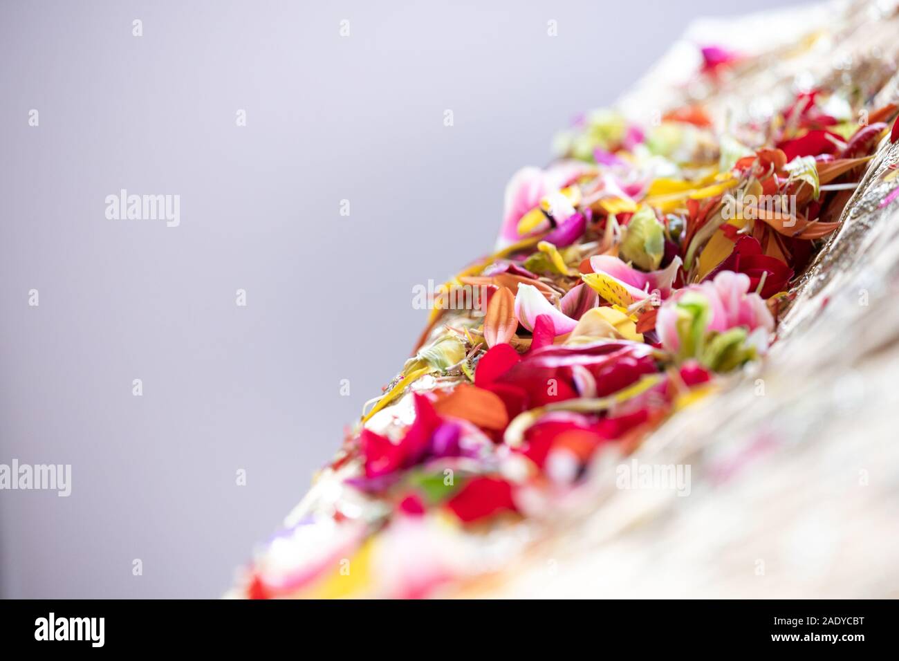 Indian sikh traditional ceremony ritual items, donation box, hands ...
