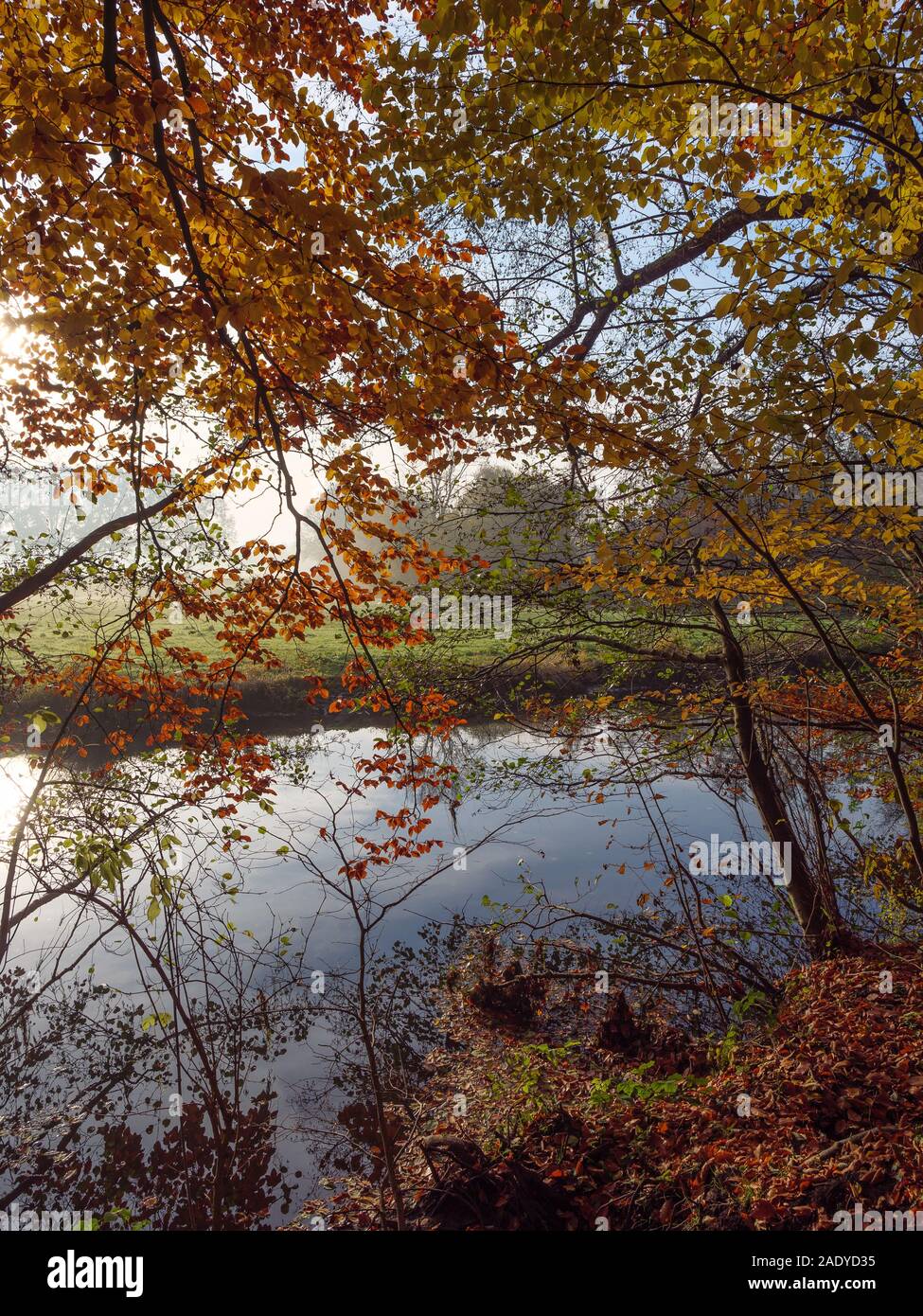 autumn at the river Stock Photo - Alamy