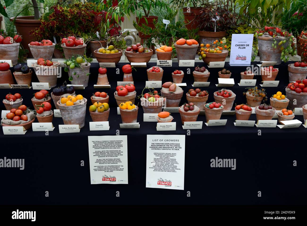 Totally Terrific Tomato Festival,National Botanic Gardens of Ireland ...