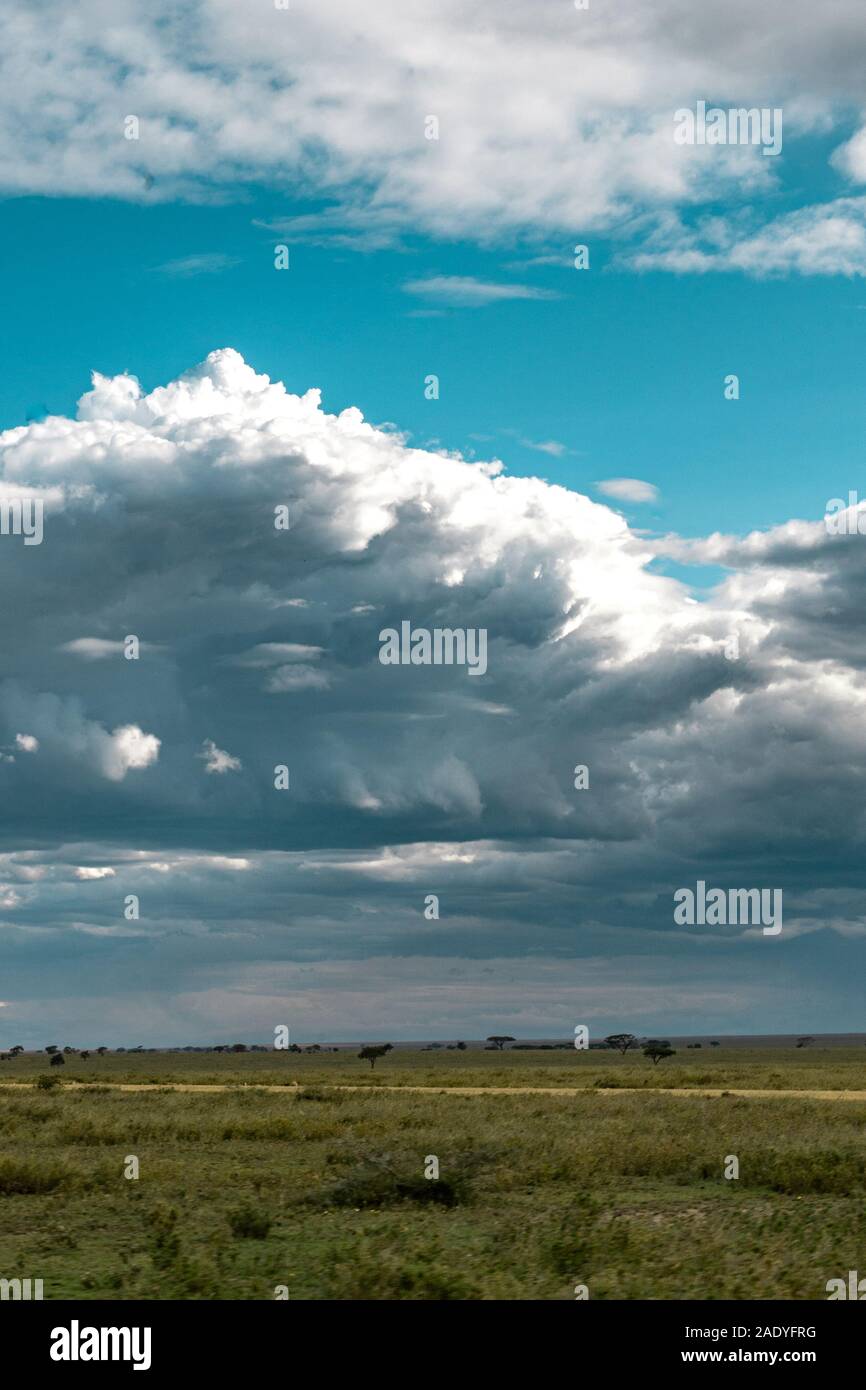 African panorama in Serengeti national park Stock Photo - Alamy