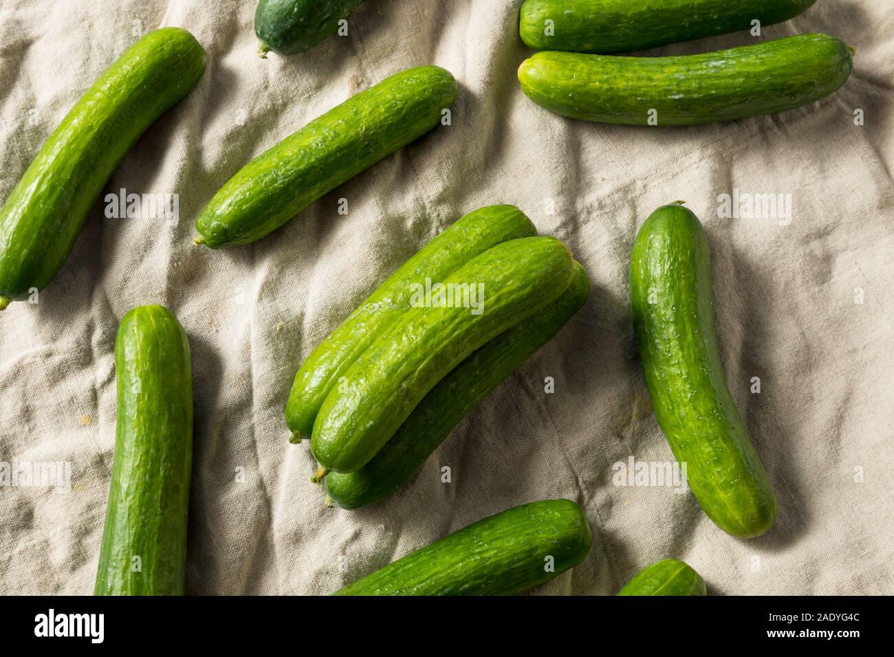 Raw Green Organic Baby Cucumbers Ready to Eat Stock Photo - Alamy