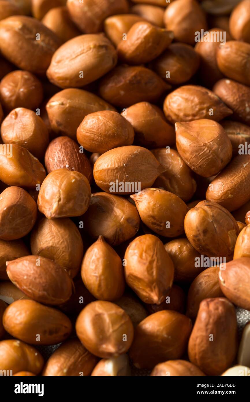 Raw Brown Organic Spanish Peanuts Ready to Eat Stock Photo - Alamy