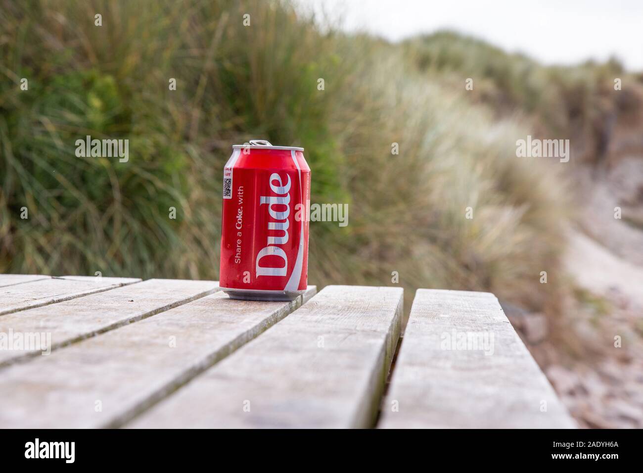 Dude Can of drink on the beach with sand and grass in the background ...