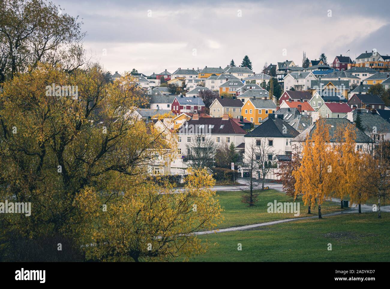 Scandinavian wooden architecture, colorful houses of Trondheim urban ...