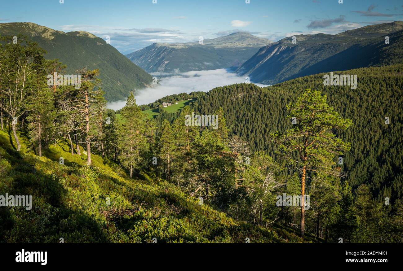 Otta hi-res stock photography and images - Alamy