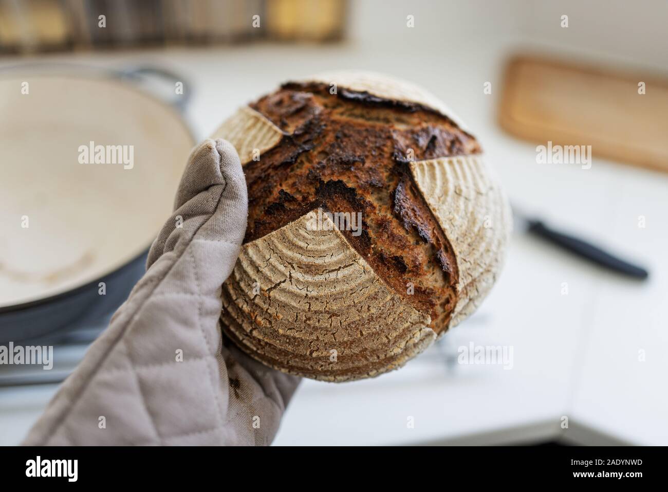 Hand in protecting glove holding freshly baked hot home made bread ...