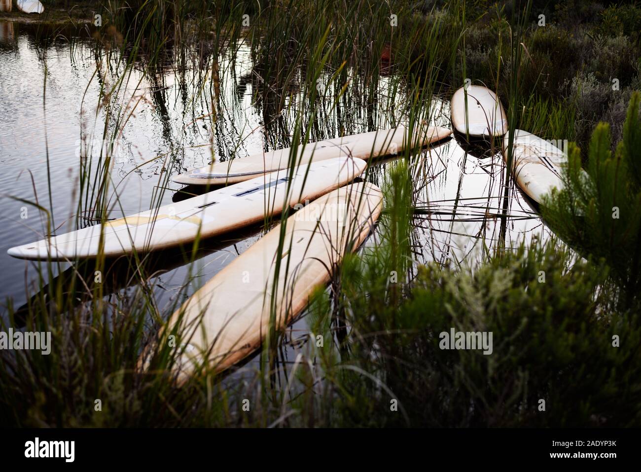Windsurfer boards used for sunbathing platforms and flotation devices ...