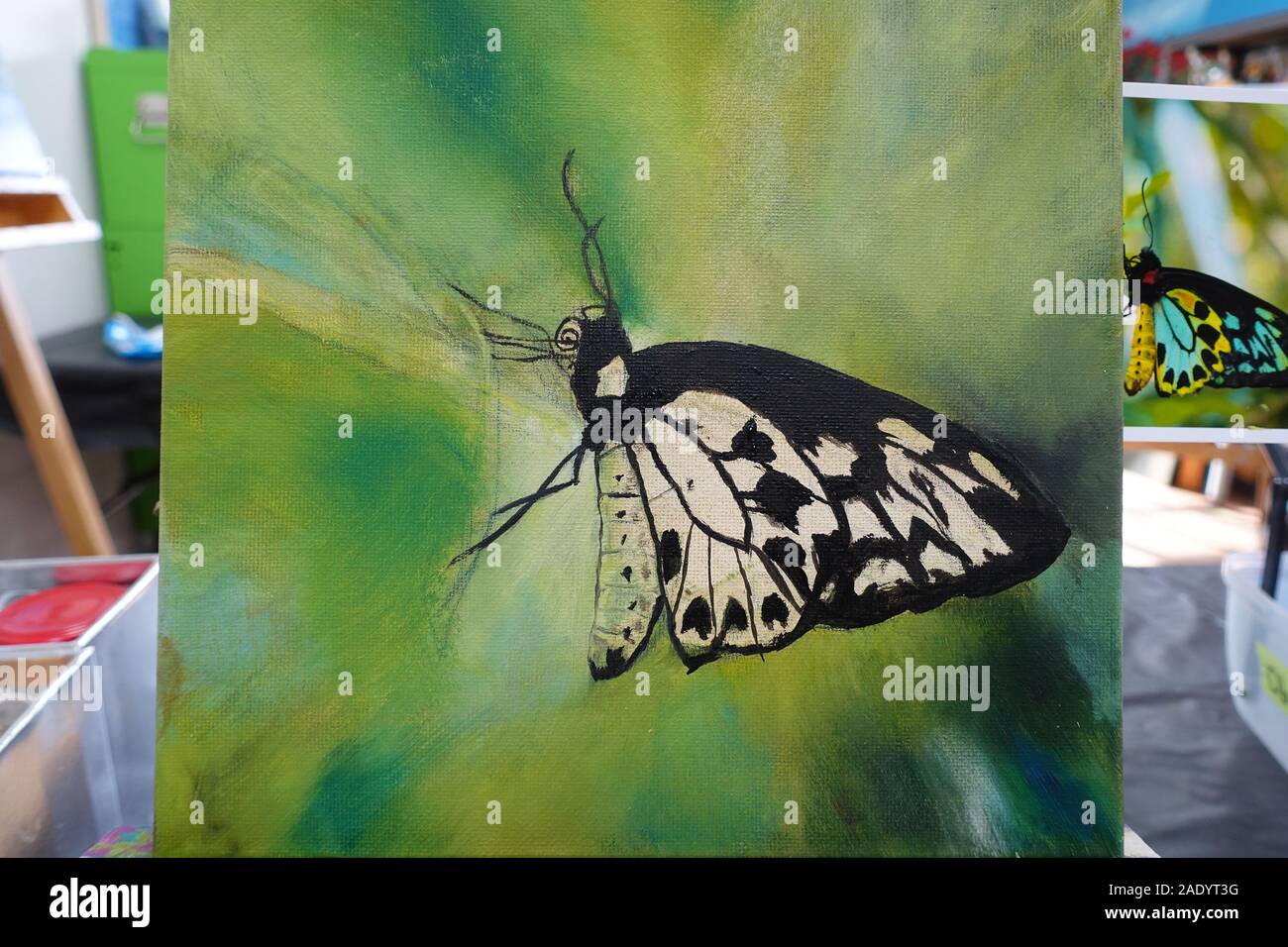 Butterfly painting in progress, from a reference photo. Unfinished ...