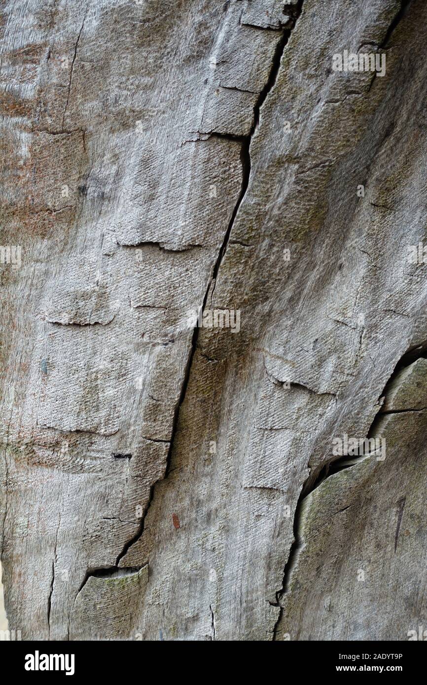 Contrasting timber hi-res stock photography and images - Alamy