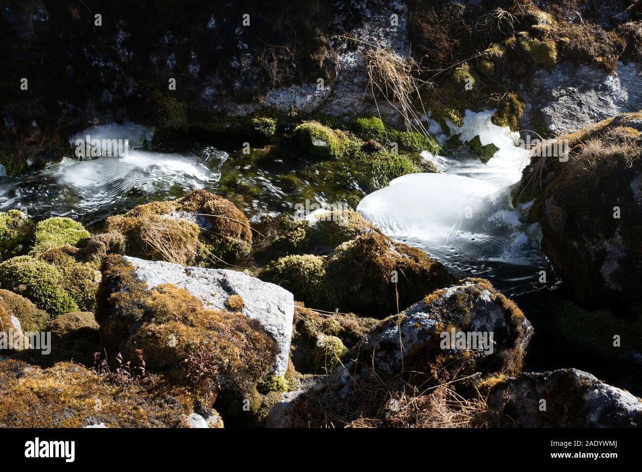 Taplejung District, Nepal Stock Photo - Alamy
