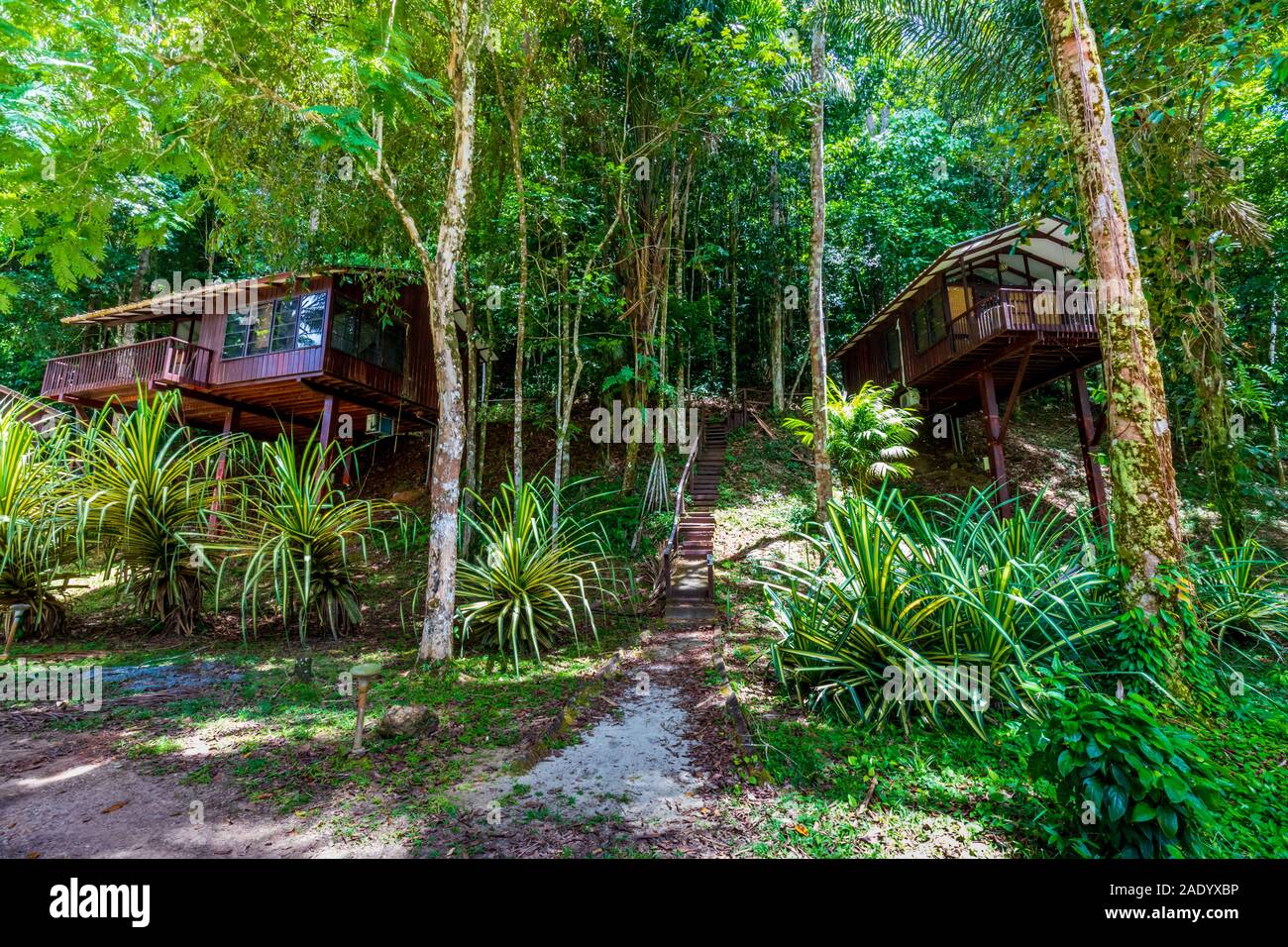 Suriname weather hi-res stock photography and images - Alamy