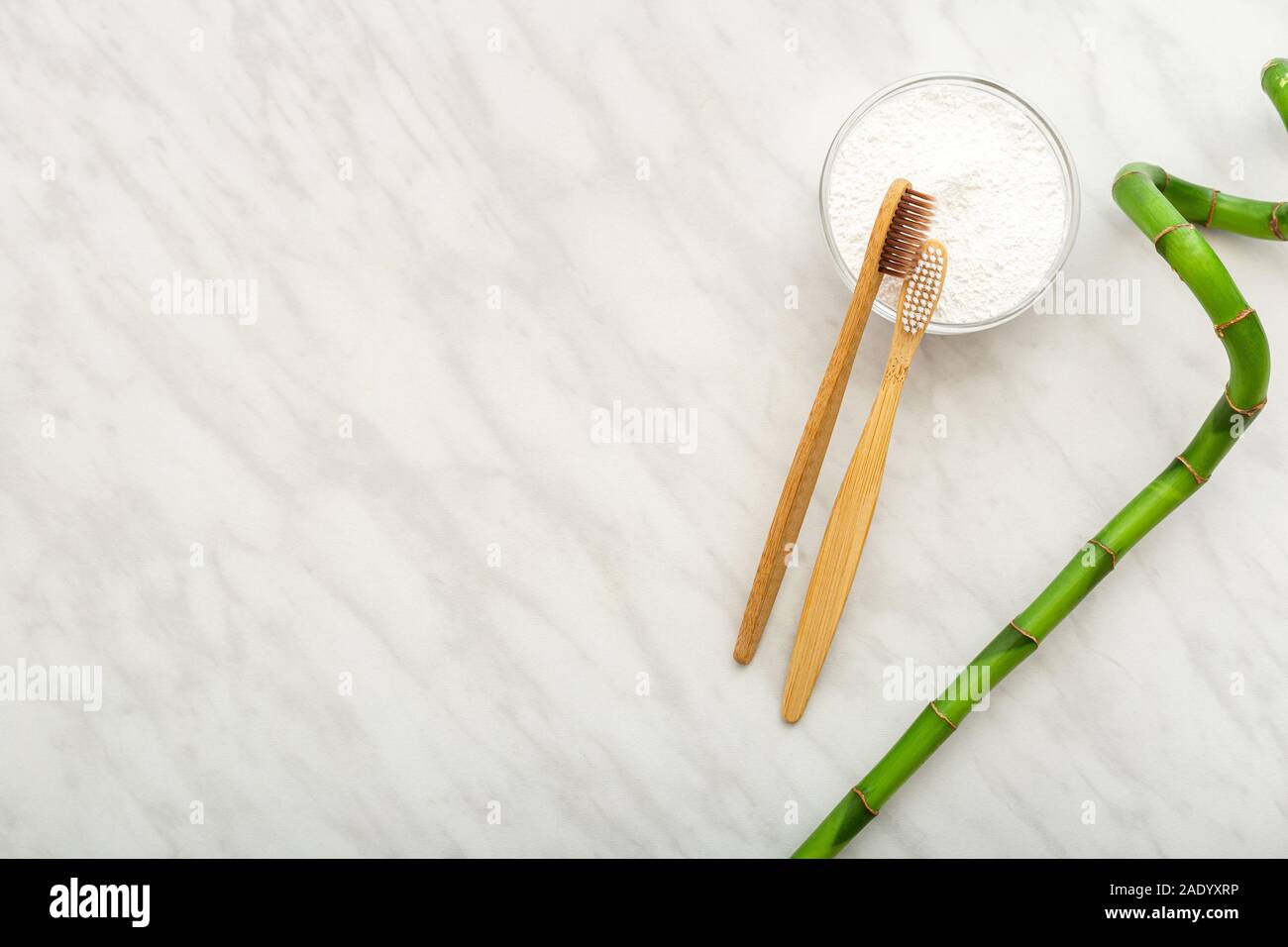 Bamboo toothbrush, bamboo plant dentifrice tooth powder on white marble ...