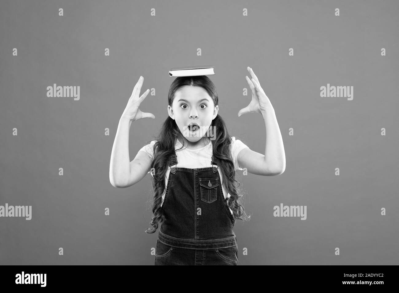 too much homework. poetry and novel. modern education. writing notes ...