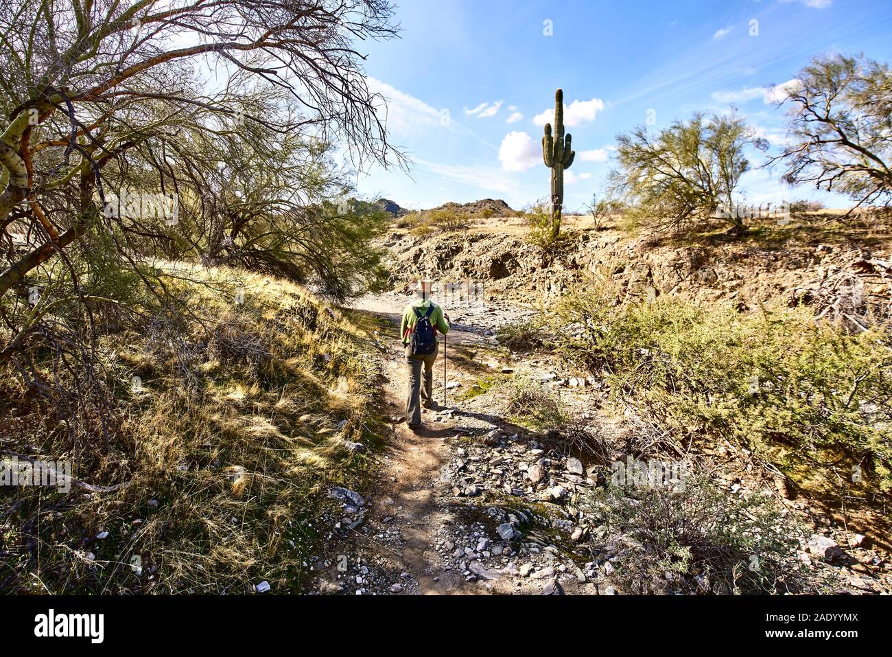 Phoenix Mountain Preserve. National park. Arizona. USA Stock Photo - Alamy