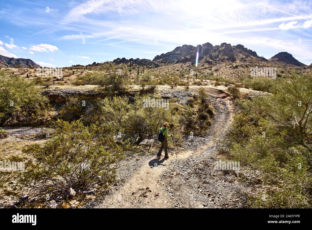 Phoenix Mountain Preserve. National park. Arizona. USA Stock Photo - Alamy