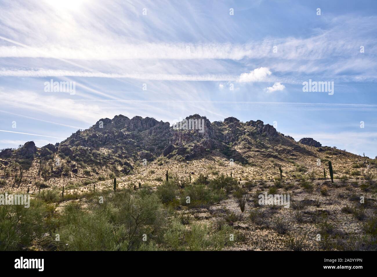 Phoenix Mountain Preserve. National park. Arizona. USA Stock Photo - Alamy